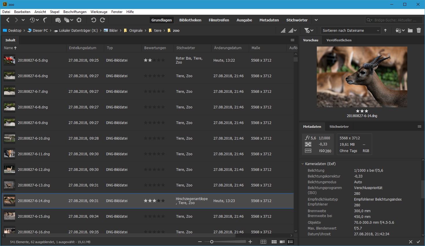 adobe bridge dropbox