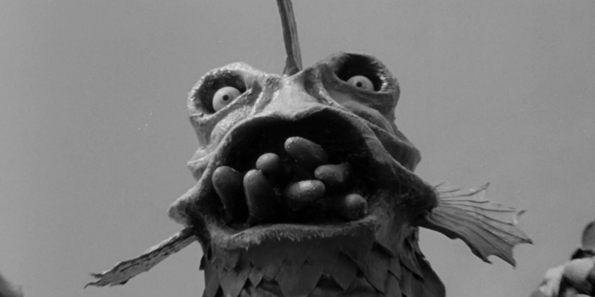 Der Horrorfilm, der so schrecklich ist, dass du eine Schreck ...