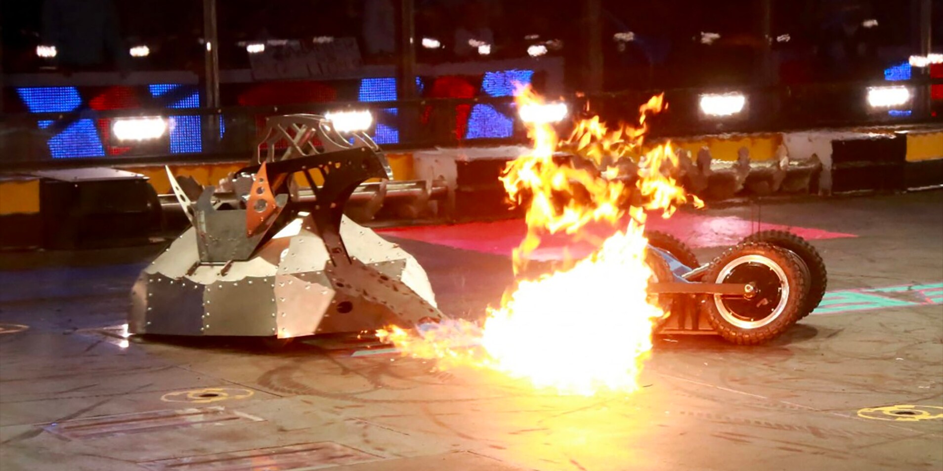 Sind Roboter Tiere? Youtube sperrt Roboterkämpfe - digitec