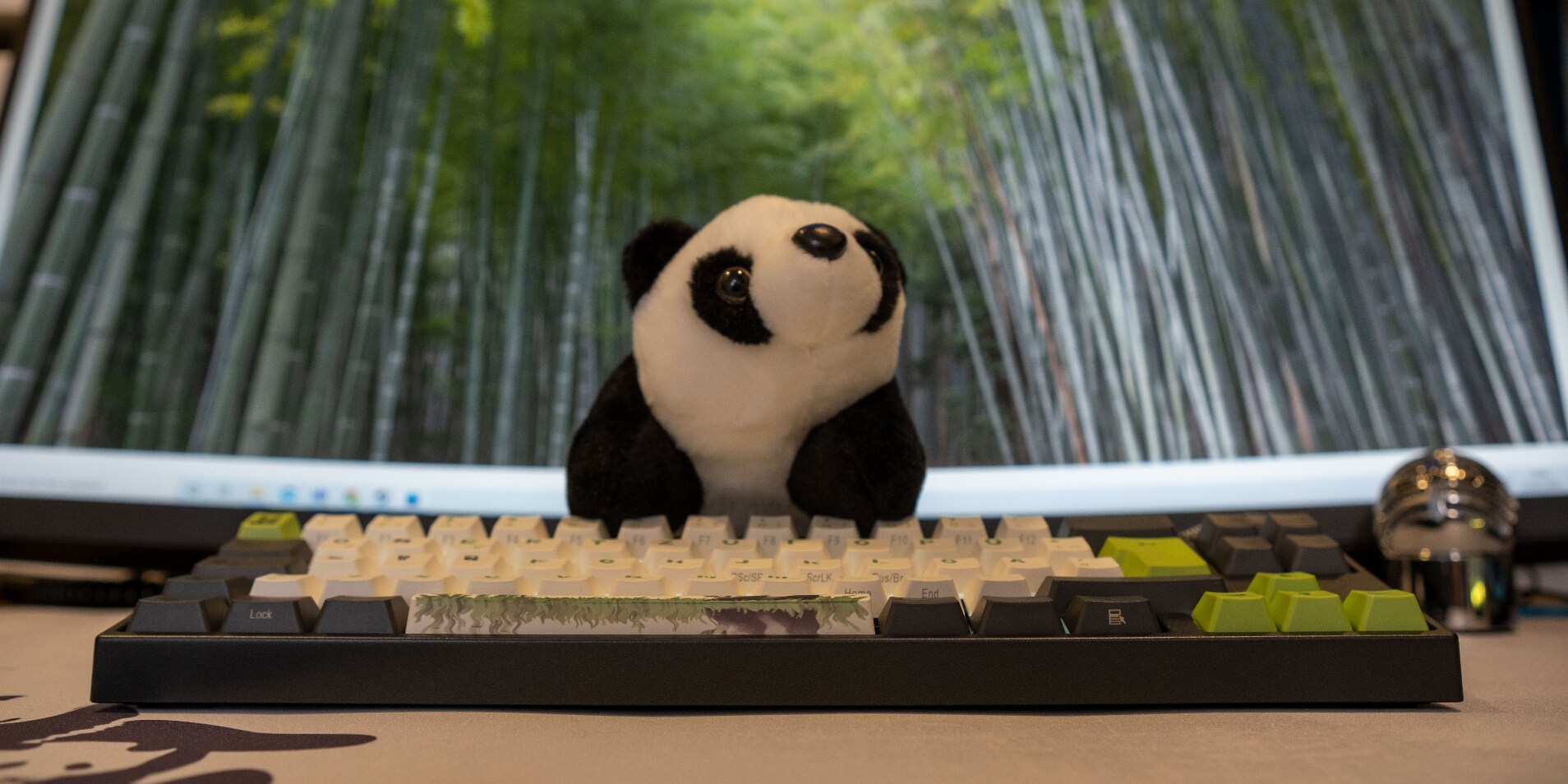 Ducky Miya Pro Panda Edition : pas seulement pour les fans de pandas ...