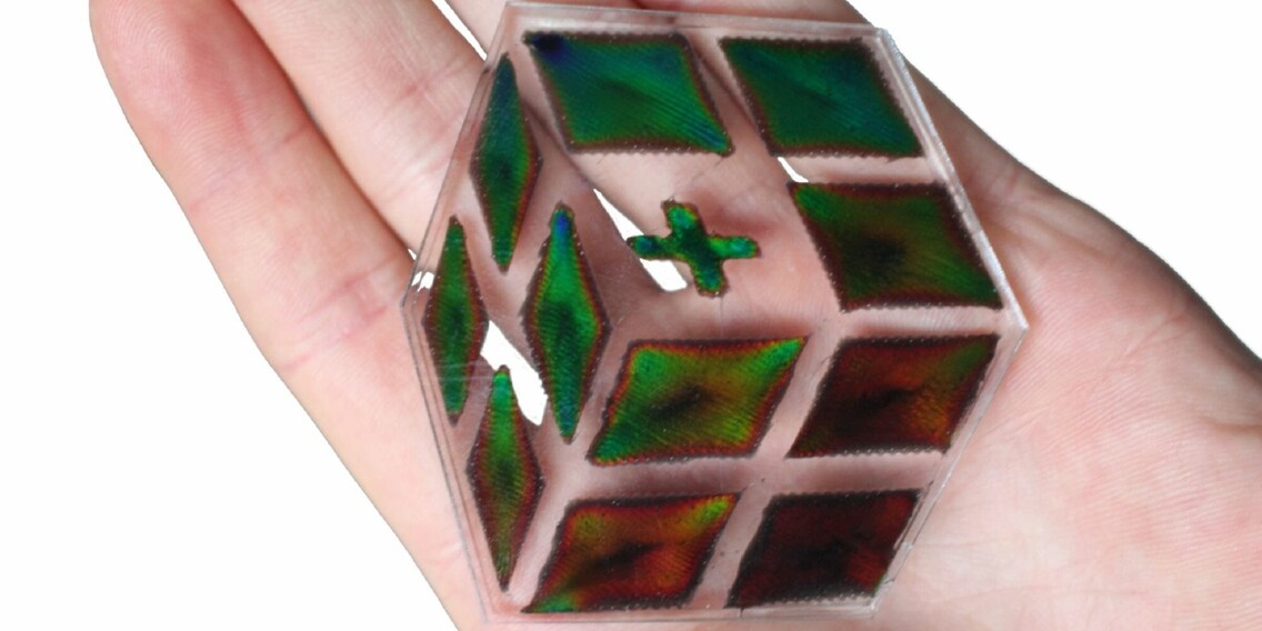 Material-Innovation: Schweizer Forscher entwickeln Bio-Displays - digitec Material-Innovation: Schweizer Forscher entwickeln Bio-Displays - digitec