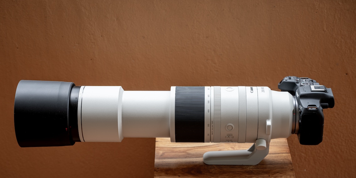 Essai du super téléobjectif Canon RF 200-800mm F/6.3-9 IS USM - Digitec