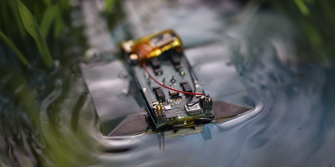 Swiss research team develops mini swimming robot - Digitec