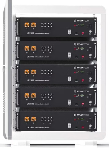 Pylontech UP2500 2,8 kWh LiFePO4 24V Speicher Batterie inkl. BMS (24 V ...