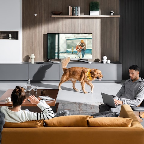 Aqara FP2 (8 m) - kaufen bei digitec