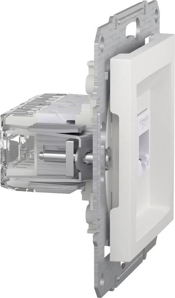 Schneider Electric RJ45-Datendose - kaufen bei Digitec