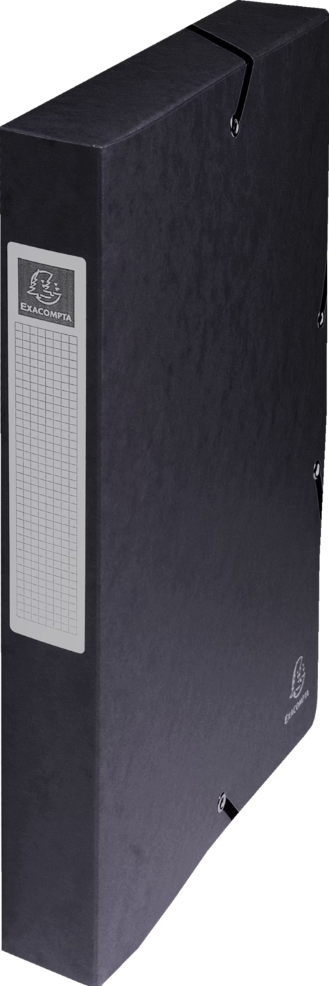 Exacompta EXABOX - Archivboxen (25 x 32 cm) - kaufen bei Digitec