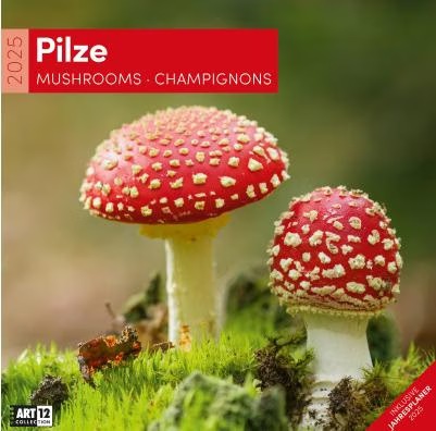 Calendrier des champignons 2025 - 30x30 (30 x 30 cm, Couverture rigide ...
